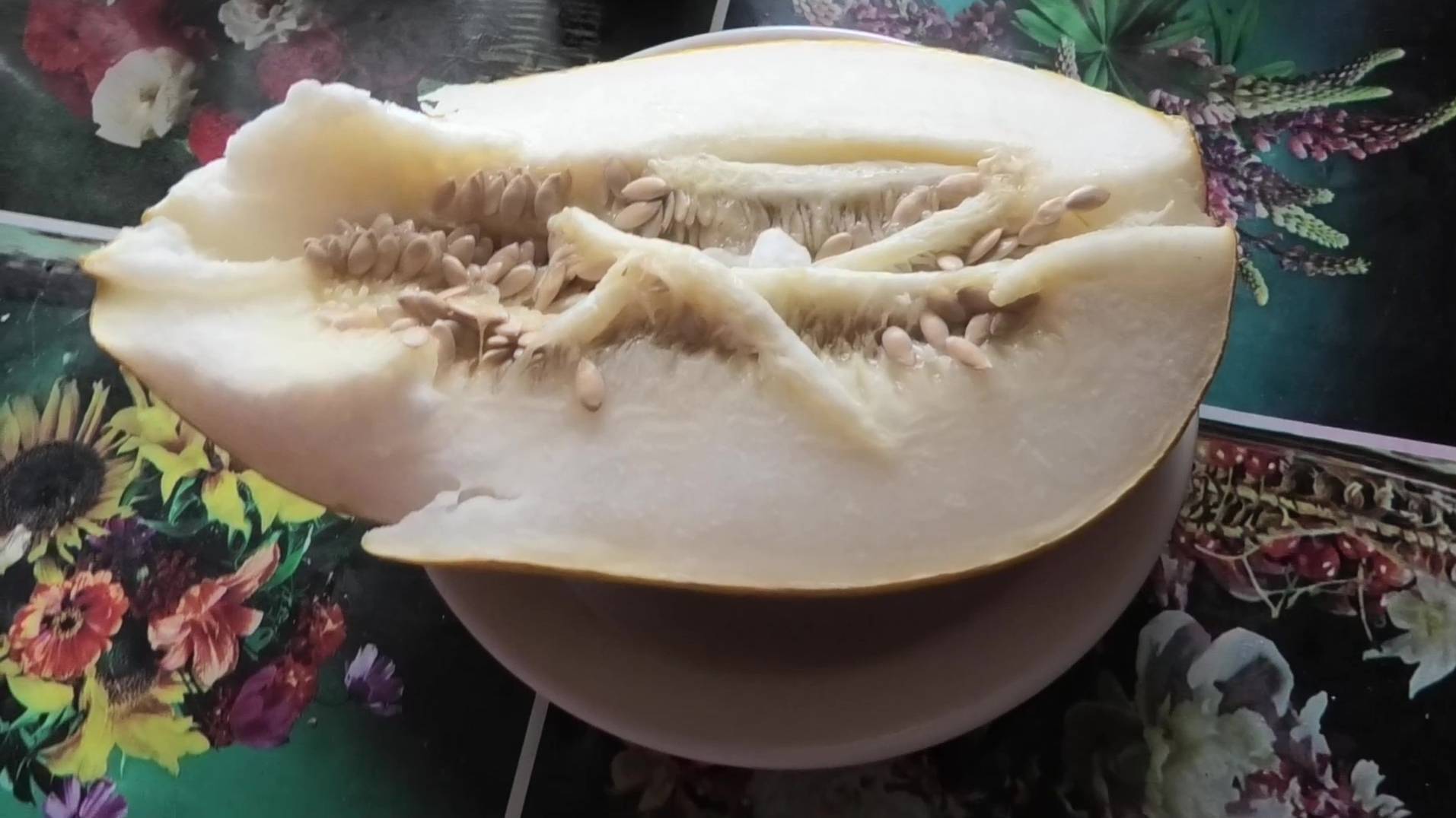 20-26 08 24г огурец валаамский,дыня созрела