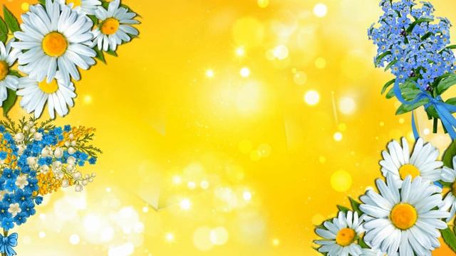 Футаж. Полевые цветы. Ромашки и другие