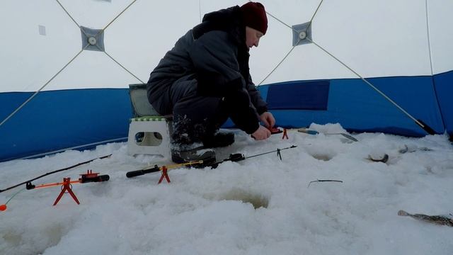 Под Кумбышем. Рыбалка зимняя на Северной Двине.  29.01.2022.