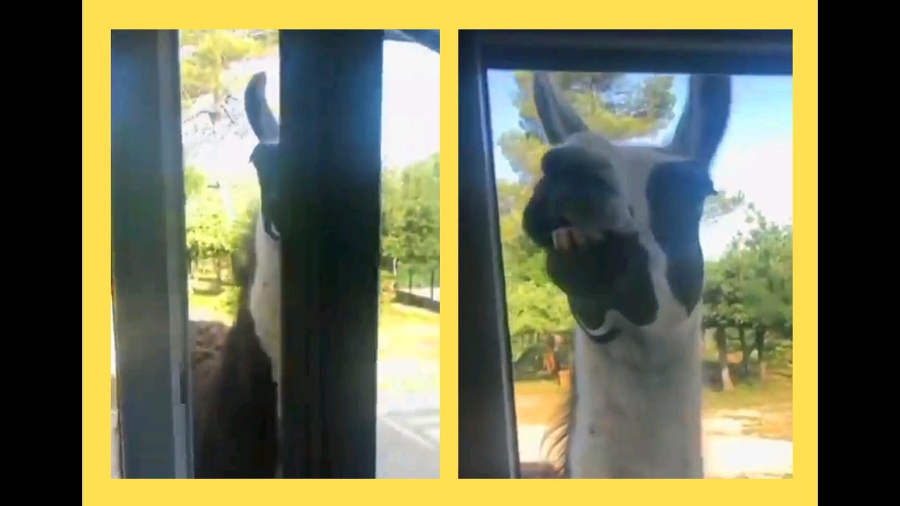 - ПРИКОЛЫ ФЕЙЛЫ ПАДЕНИЯ -.mp4