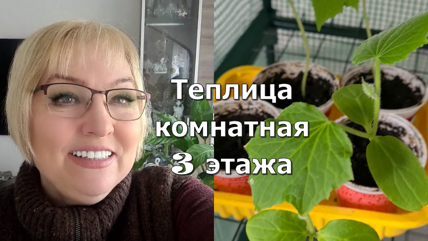 Теплица комнатная 3 этажа, парник домашний, овощи в доме