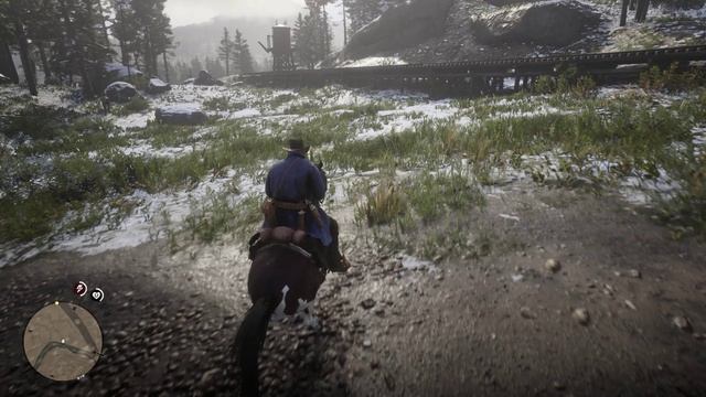 Подготовка к нападению на поезд. Прохождение RDR2. Часть 15.