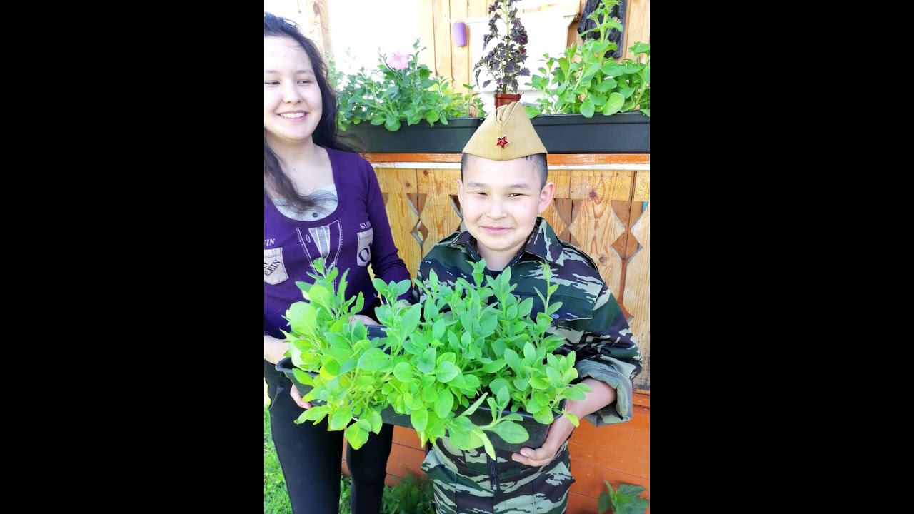 Конкурсная работа Семьи  Юнусовых