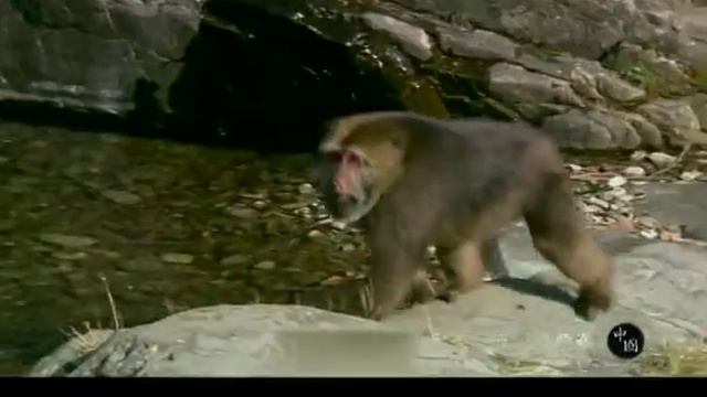 2  Памятники мирового наследия в Китае.mp4
