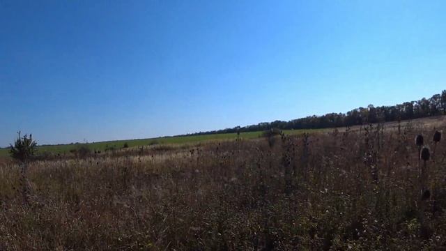 открытие на фазана 2021.mp4