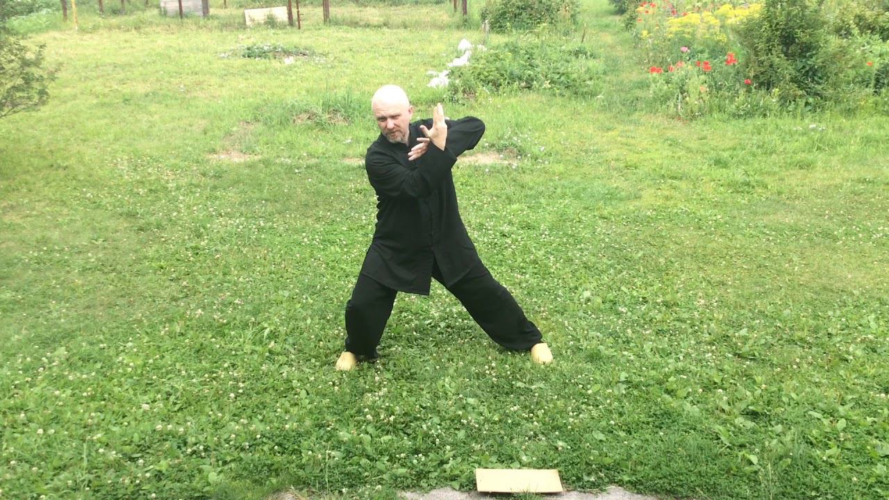 Лениво подоткнуть полы халата. Чэньши Тайцзицюань. Позиция 2/83.