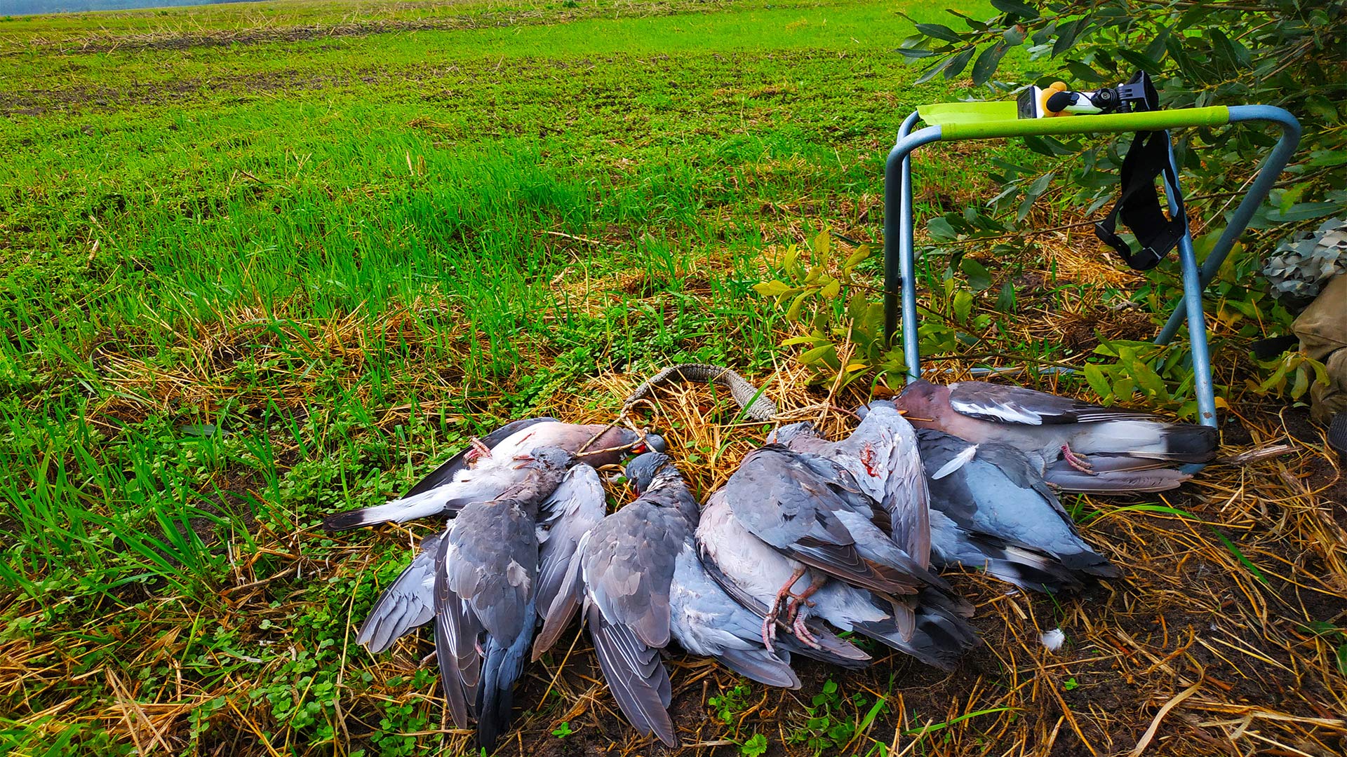 ОХОТА НА ВЯХИРЯ. ТУЧИ ВЯХИРЯ НА НОВОМ МЕСТЕ