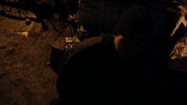 Архив. Пытаемся с дочкой залатать дыры на крыше. Тиран мешает.