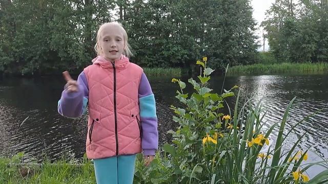 "Правила поведения в лесу",  Шабанова Полина