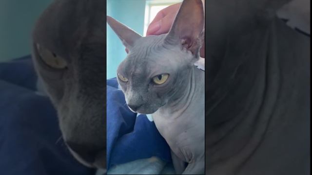 Доброе утро!  Улыбнись и передай дальше!