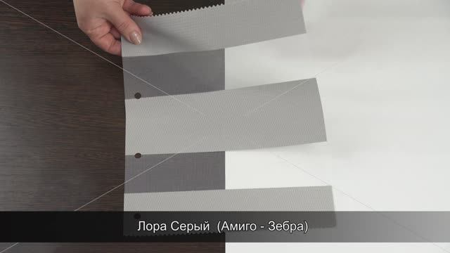 Лора Серый  (Амиго - Зебра)