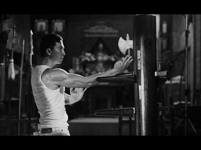 Донни Йен Тренировка 2 с комментариями