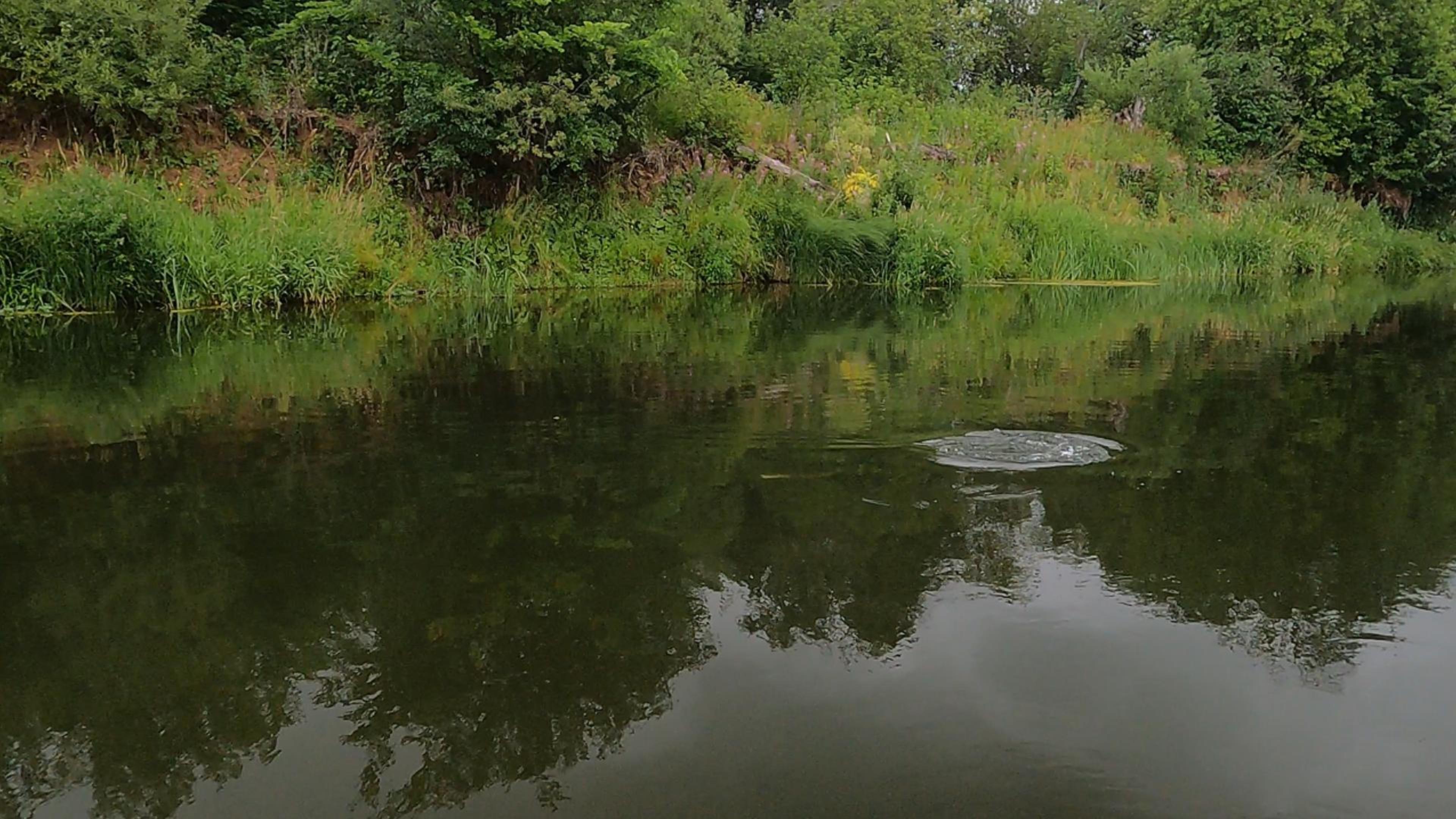 Вниз по Сиве за голавлем