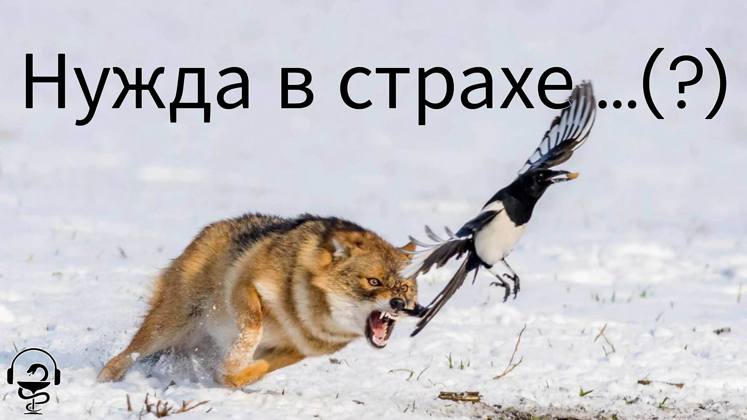 Страх нам нужен. Страх нам нужен?