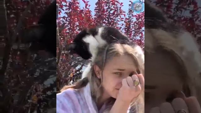 Смешные животные #47.mp4