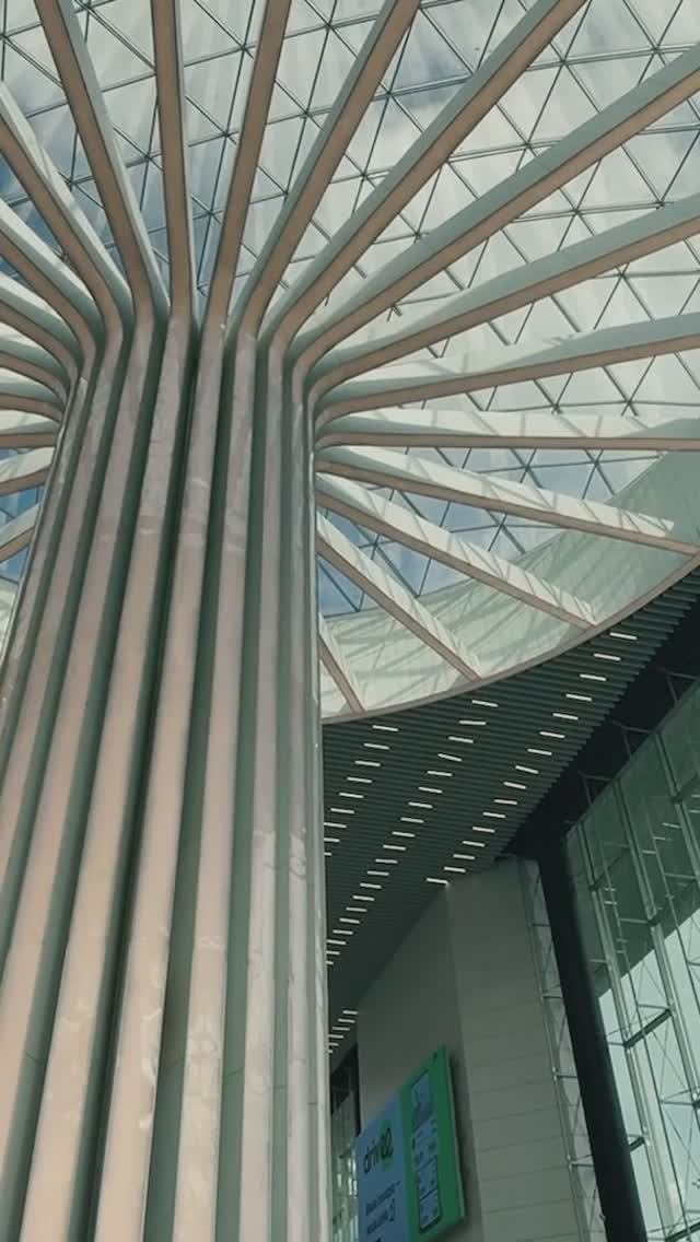 Мой путь до Новосибирска! Аэропорт «Толмачево».mp4