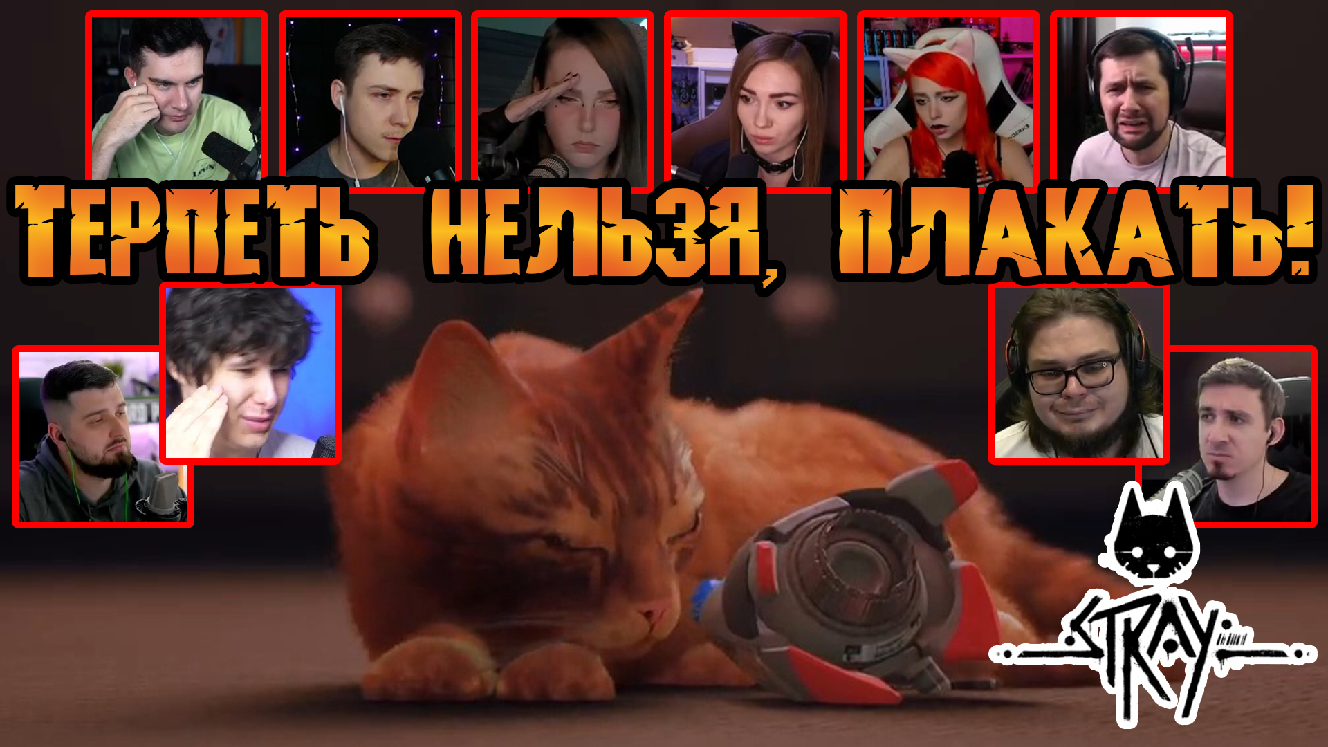 Реакция Летсплейщиков на Очень Грустную Сцену в Финале Stray