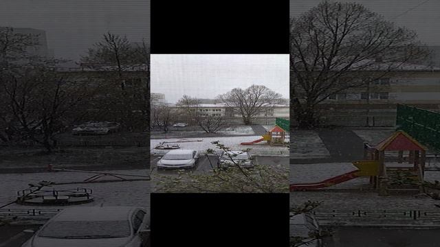 3 мая 2024 в Тюмени снег