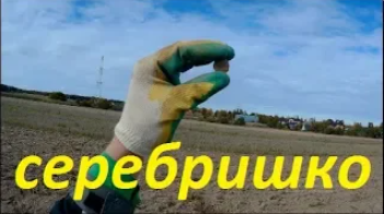 По свежей вспашке.КОП с металлоискателем