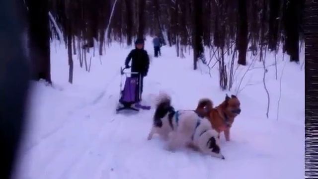 Не видео, а недоразумение, наших первых покатушек