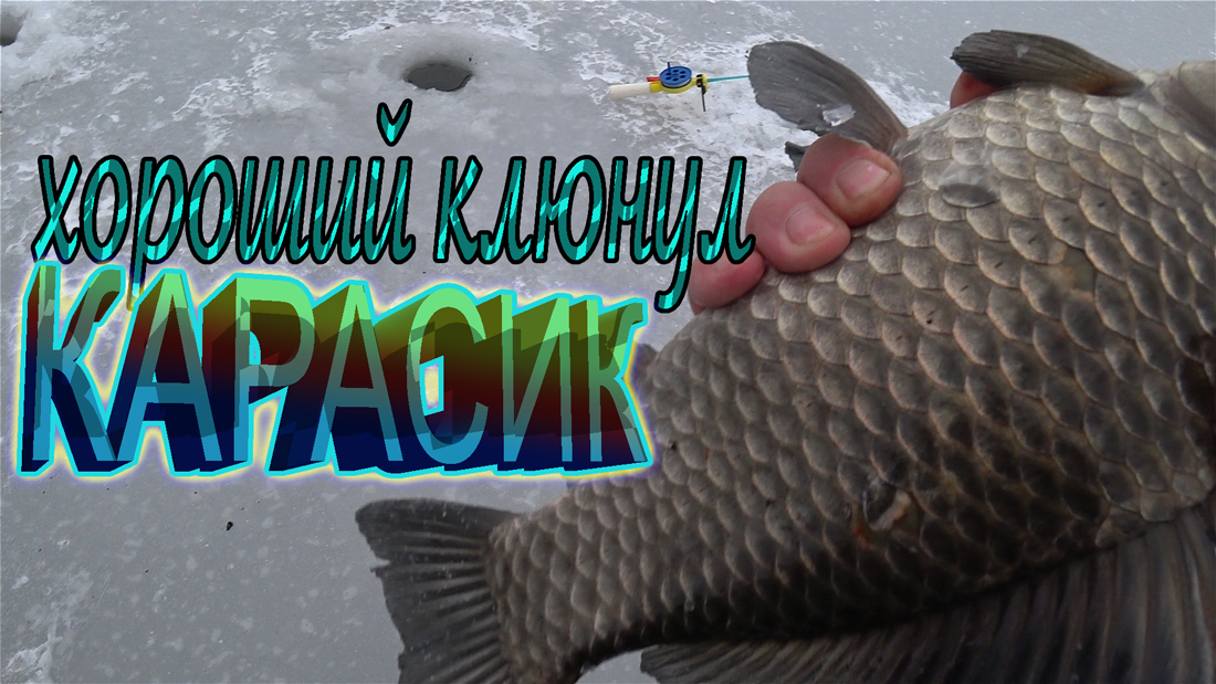 Крупный карась зимой! Сезон 22/23!