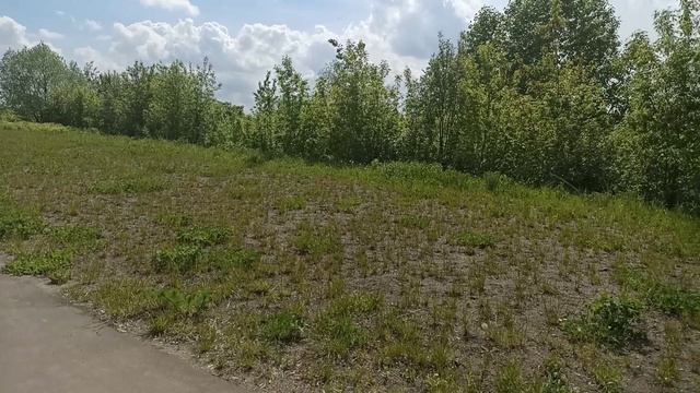 Бригантина июнь 2022. Гора в Долгопрудном