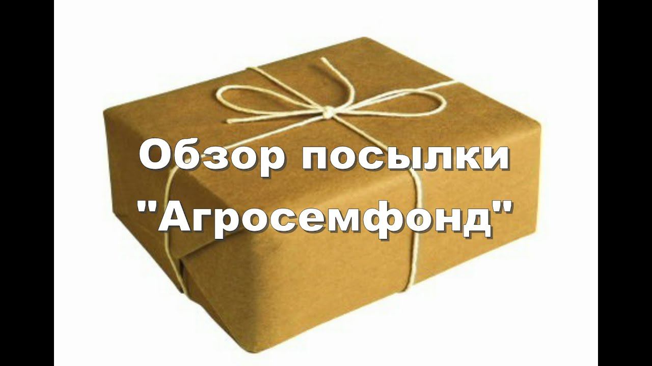 Обзор посылки "Агросемфонд"