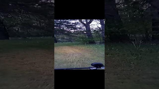 Раннее утро