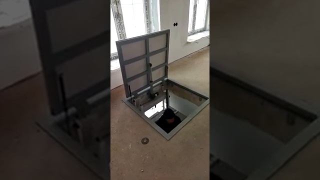 Грузовой подъемник ПГУ 250 «Муравей»