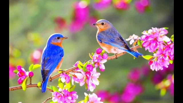 Без тебя мой Бог...