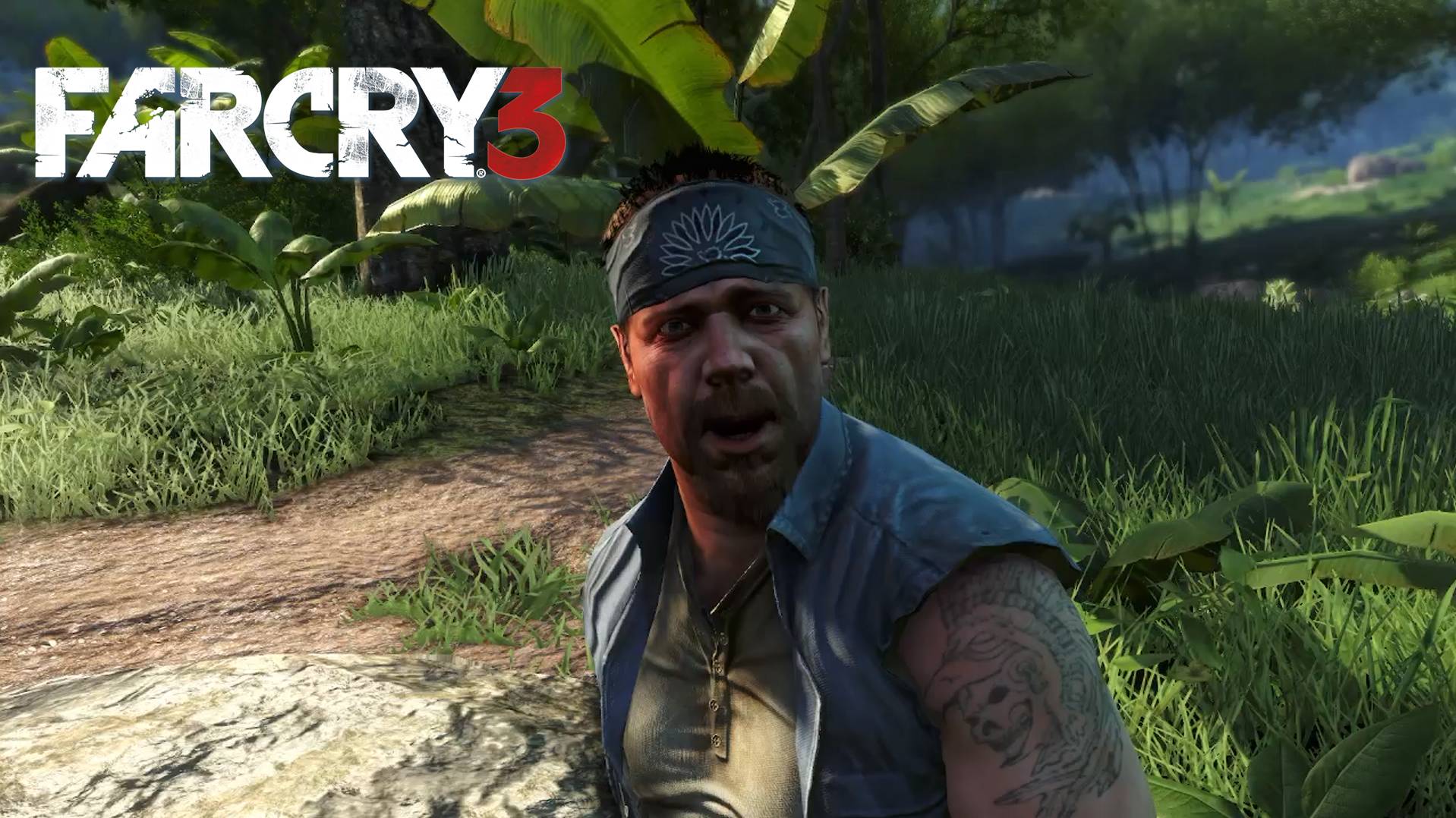 Алмазы для Ракьят (молчаливое прохождение) - Far Cry 3 #8