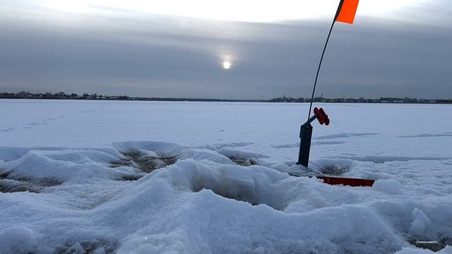 08.12.23 Позднее открытие сезона твёрдой воды. Устье Волхова. Жерлицы.