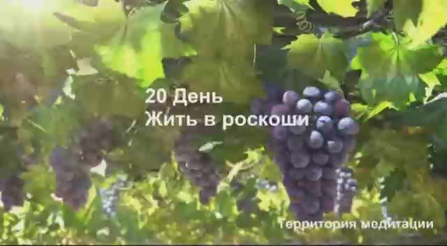 20 День Медитация Жить в роскоши