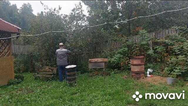 Быстрый сбор черноплодки