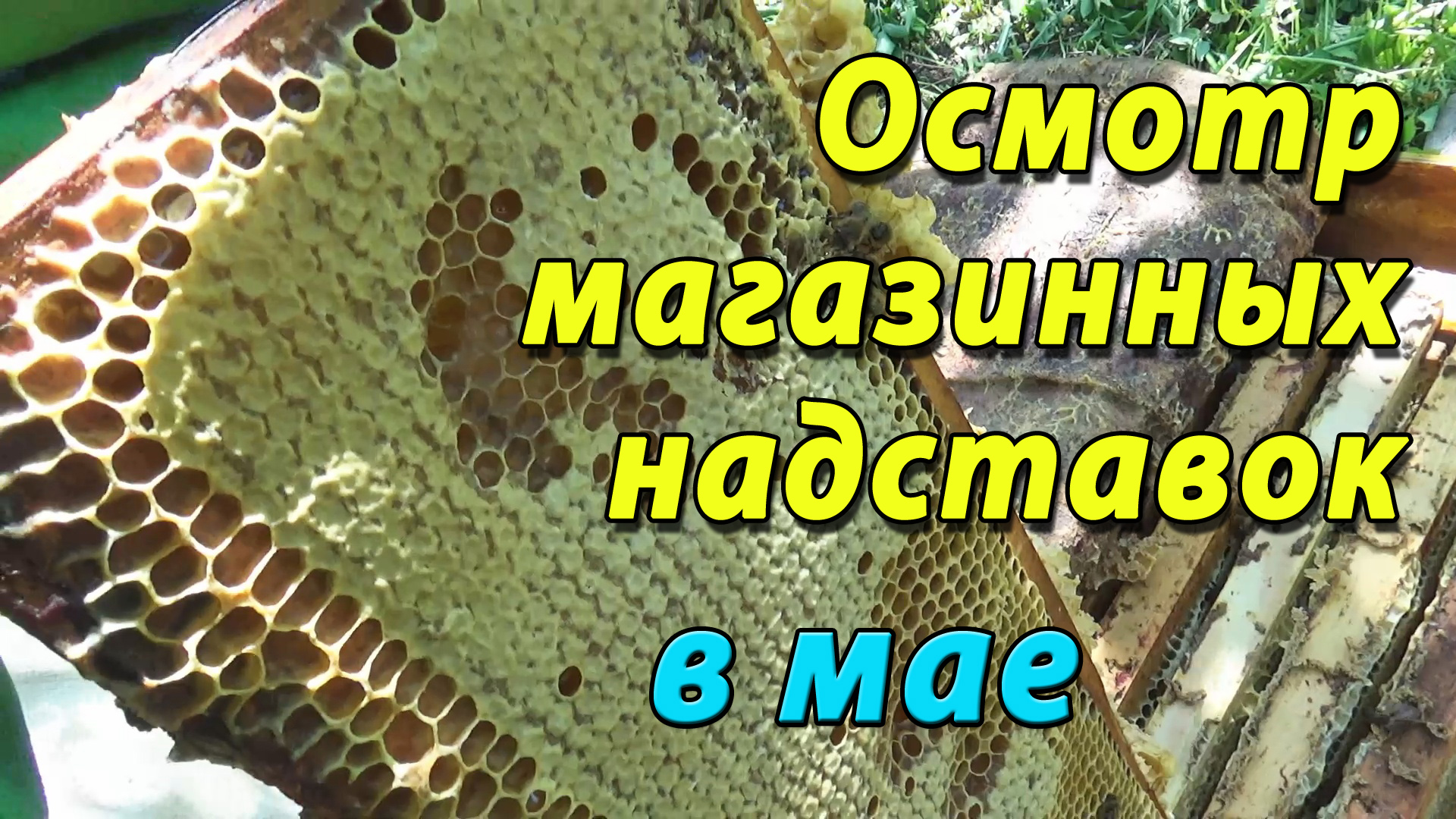 Осмотр магазинных надставок в мае. Подготовка к откачке майского мёда.