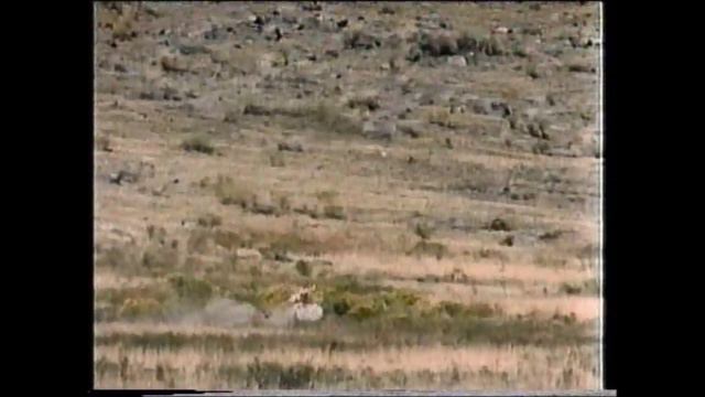 Зоопарк в Балашихе