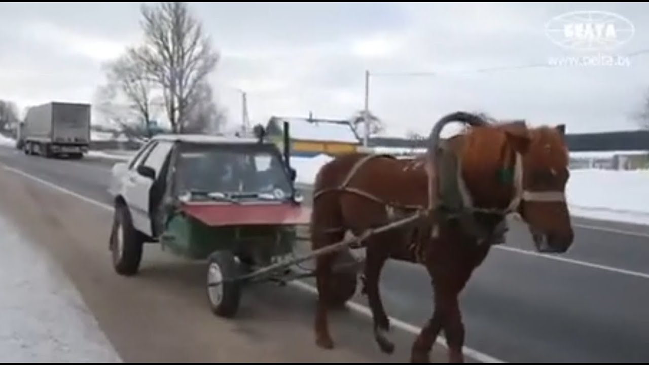 Это только цветочки.