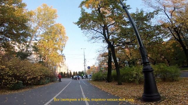 Питер острова 08 Я словно в зеркало Владимир LUMIERE сл. pointalex 03.10.21.mkv