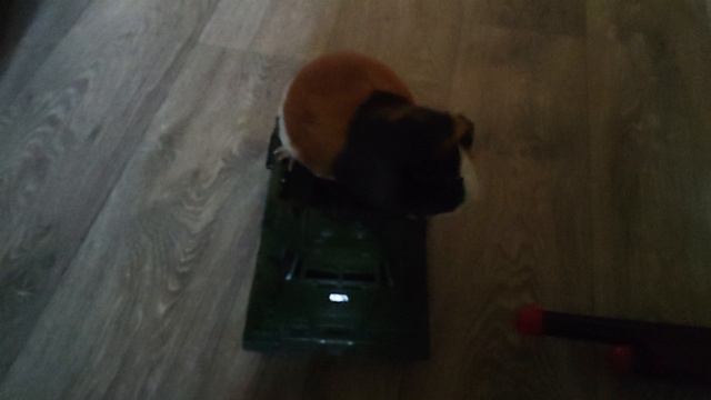 1 сезон 6 серия страшный паук