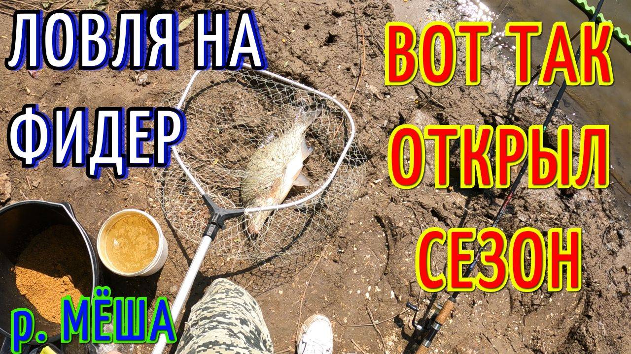 Открыл СЕЗОН по ФИДЕРУ. В основном ПЛОТВА, плюс два ХОРОШИХ бонуса.