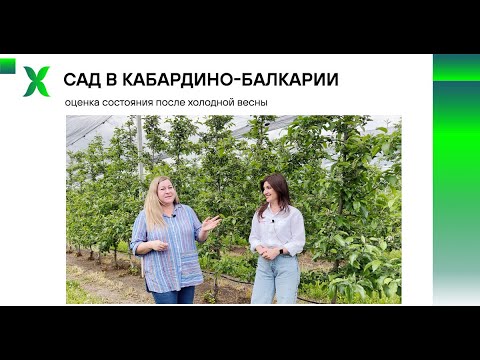 Сад в Кабардино-Балкарии / Оценка состояния после холодной весны