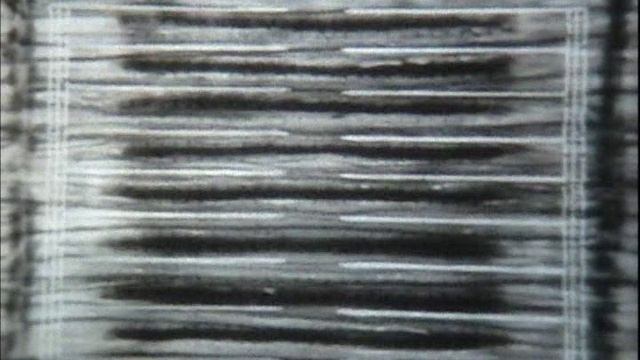 Разновидности мышечной ткани