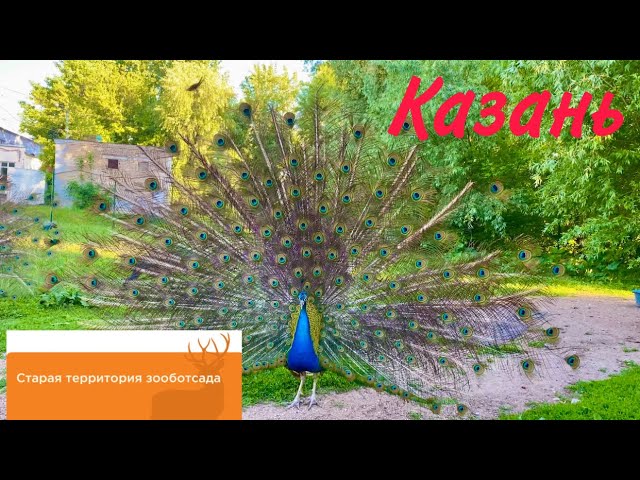 Казань. Старая территория зооботсада