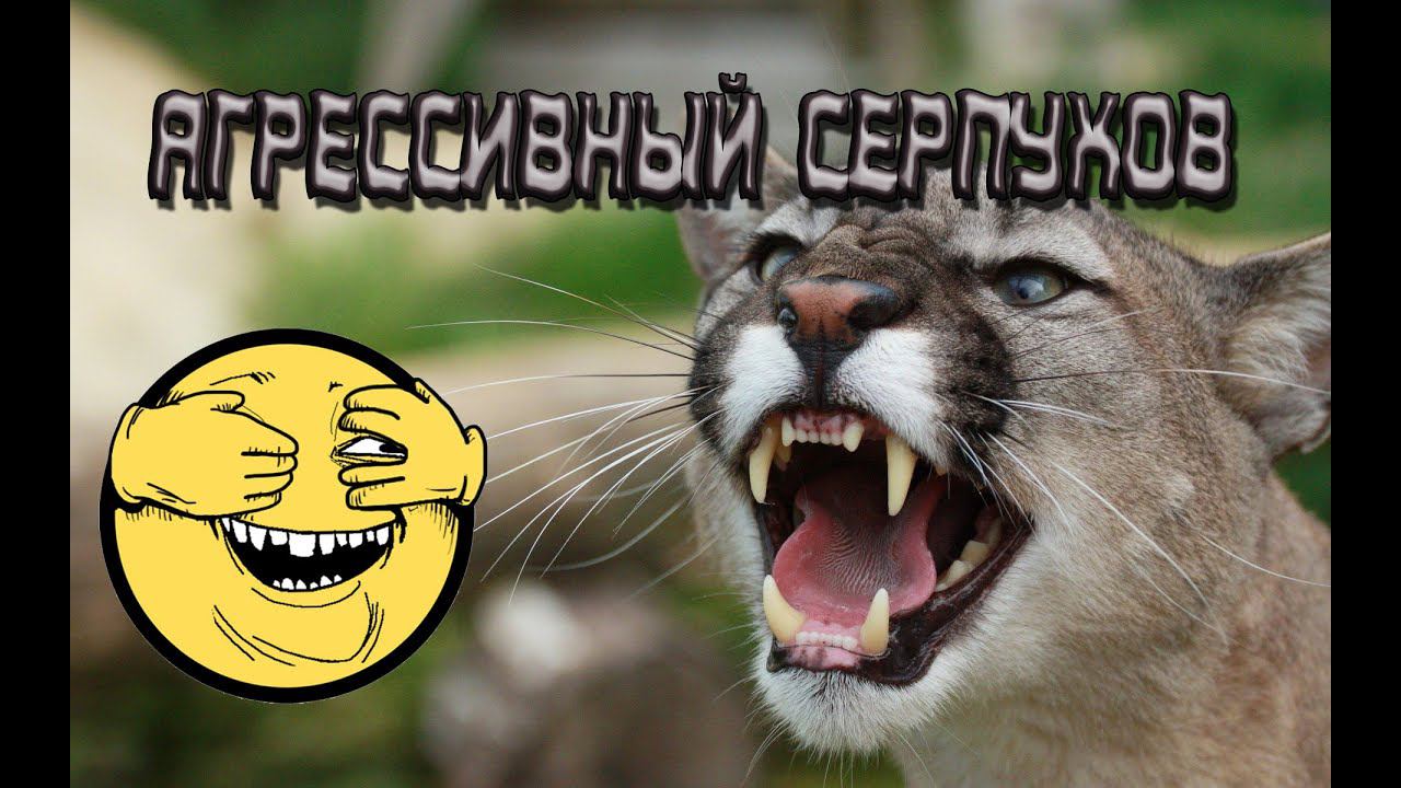 Tanki Online Серпухов