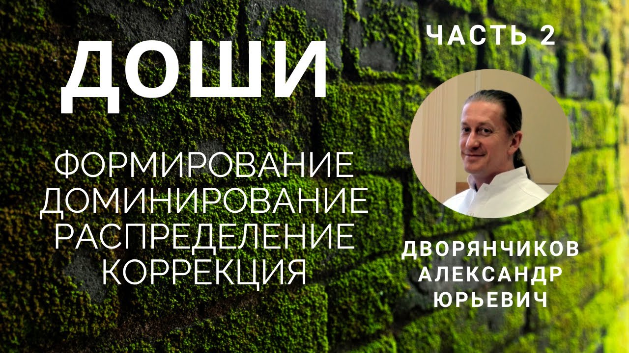 Часть 2. Доши формирование, распределение, доминирование и коррекция