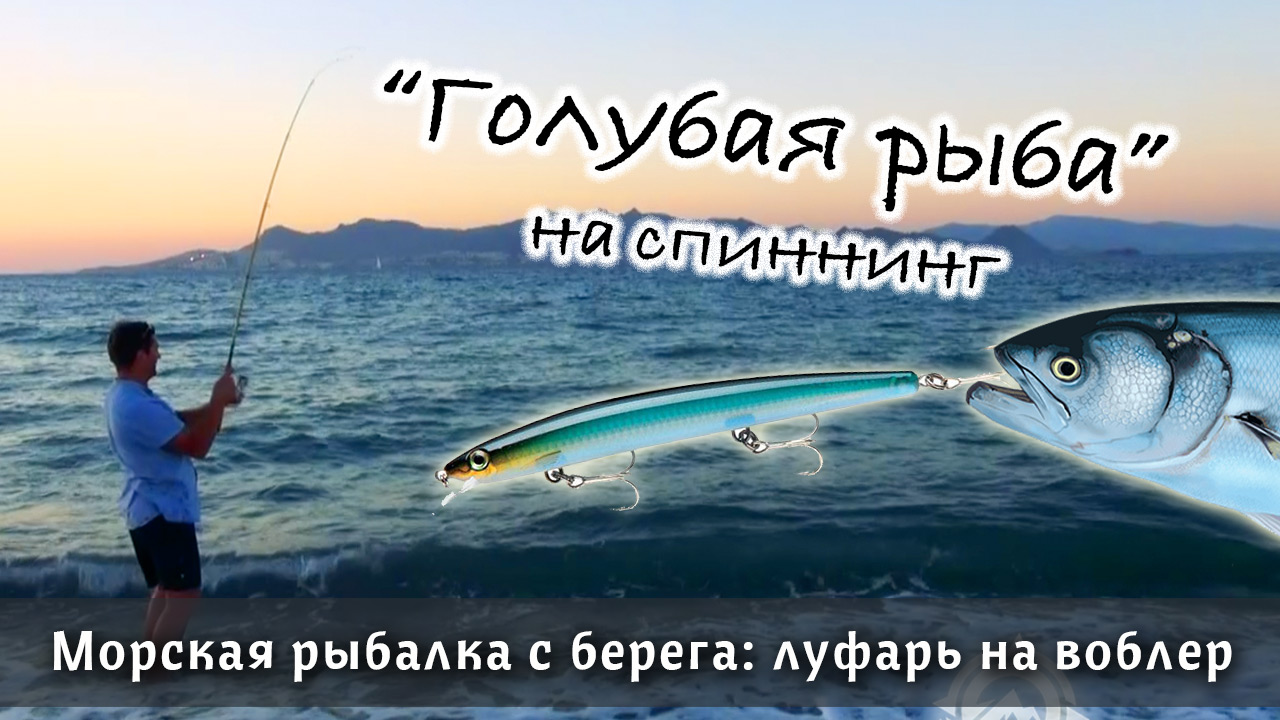 ГОЛУБАЯ РЫБА на спинннинг | Морская рыбалка с берега в Средиземном море | Ловля луфаря на воблер
