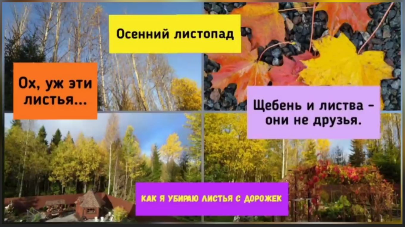 Как я убираю опавшую листву с дорожек из щебня.