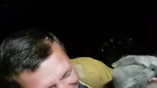 Котик явно в ударе!!