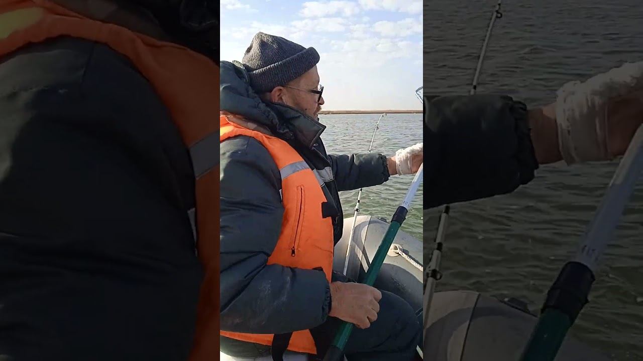 Карась осенний, 5 ноября.