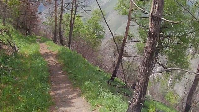 Трейл Разминка